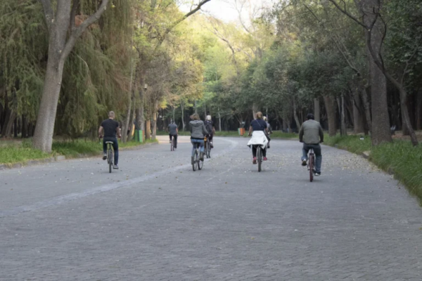 The prettiest bike ways in CDMX: Do you know them? - ciclopistas.com